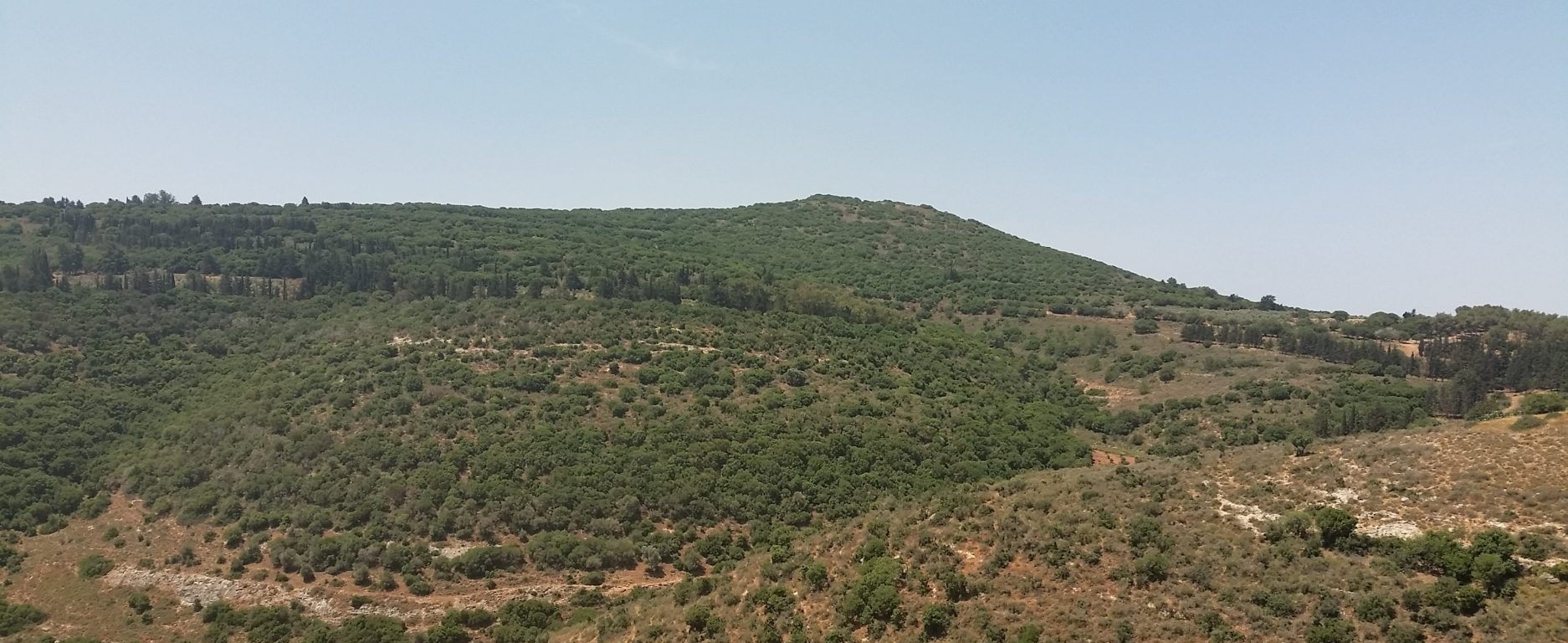 المحميّة الطّبيعيّة - هار عتسمون - Israel Nature and Parks Authority